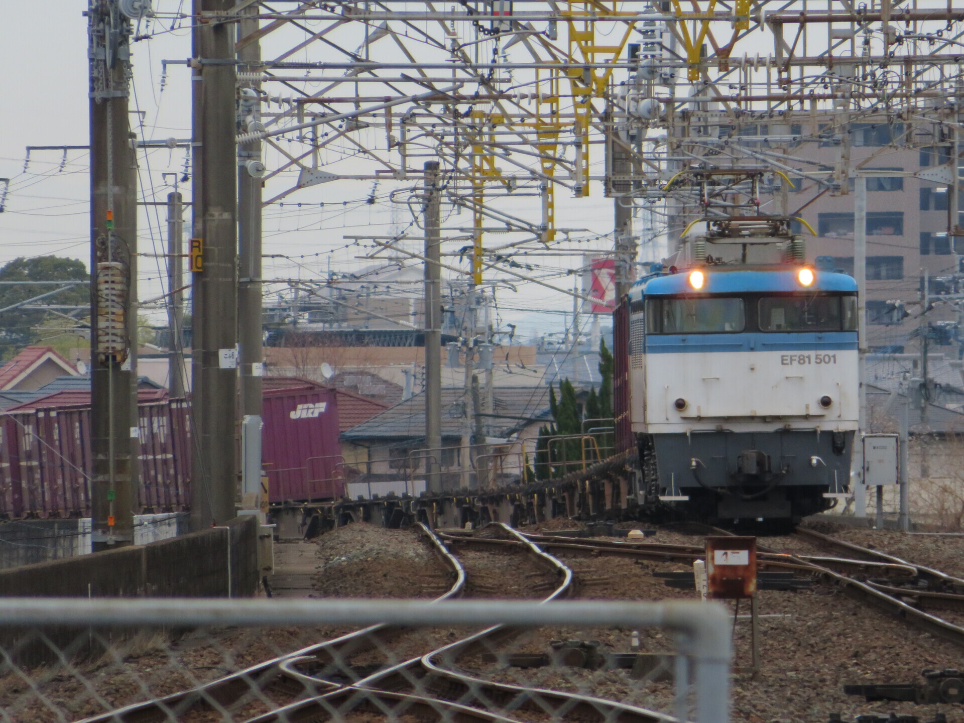 貴重なカマ「EF81-501」の4081ﾚ。: のりぃ的鉄ちゃん人生